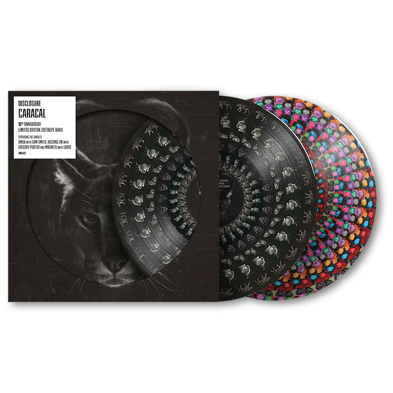 Disclosure - Caracal (10th Anniversary Edition Picture Disc LP) – 3345 ...