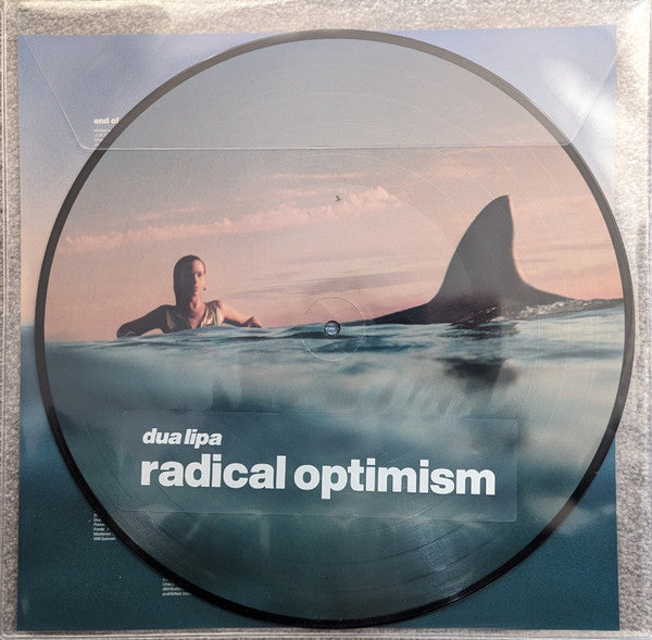 Dua Lipa - Radical Optimism (Picture Disc LP) – 3345 Record Store The Hague